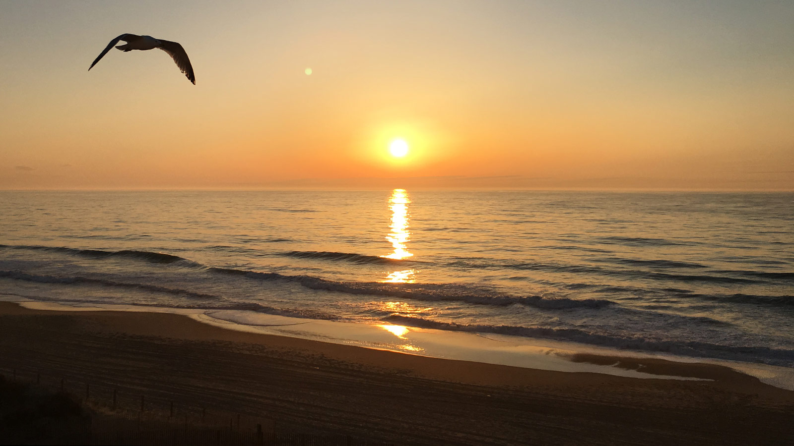 The Sun From Earth - The Sun Today with Dr. C. Alex Young